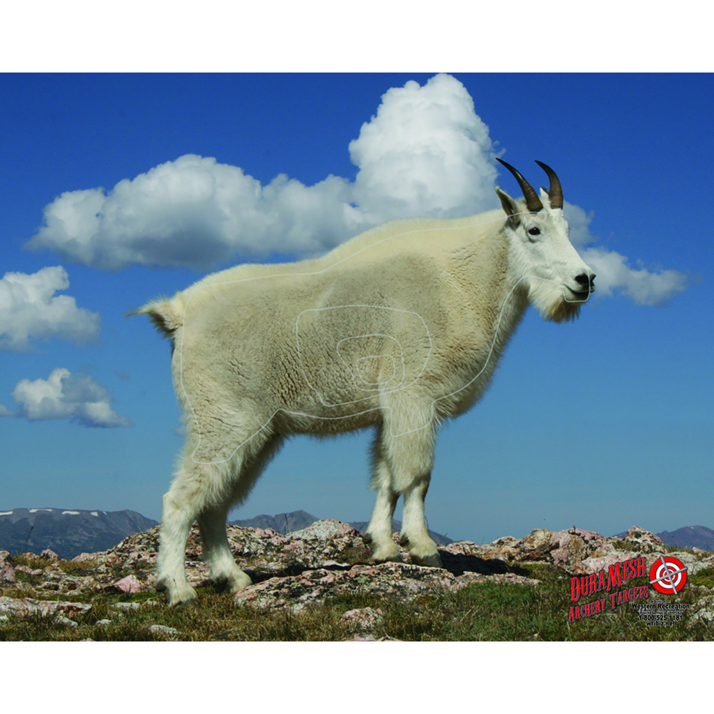 Duramesh Archery Target Mountain Goat 25 In. X 32 - Shooting Targets at ...