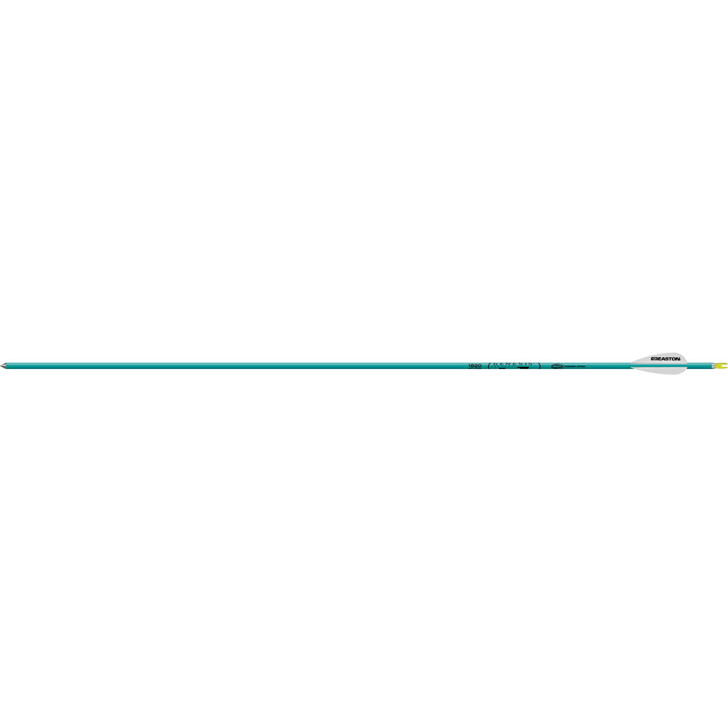 Easton Genesis Arrows 3 In. Vane Teal 36 Pk. - Archery Supplies at ...