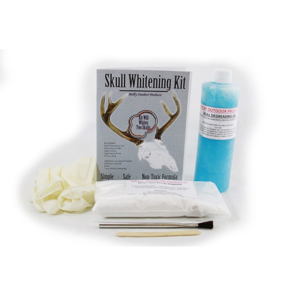 Melby Skull Bleaching Kit - Animal Taxidermy - Large at GunBroker.com ...