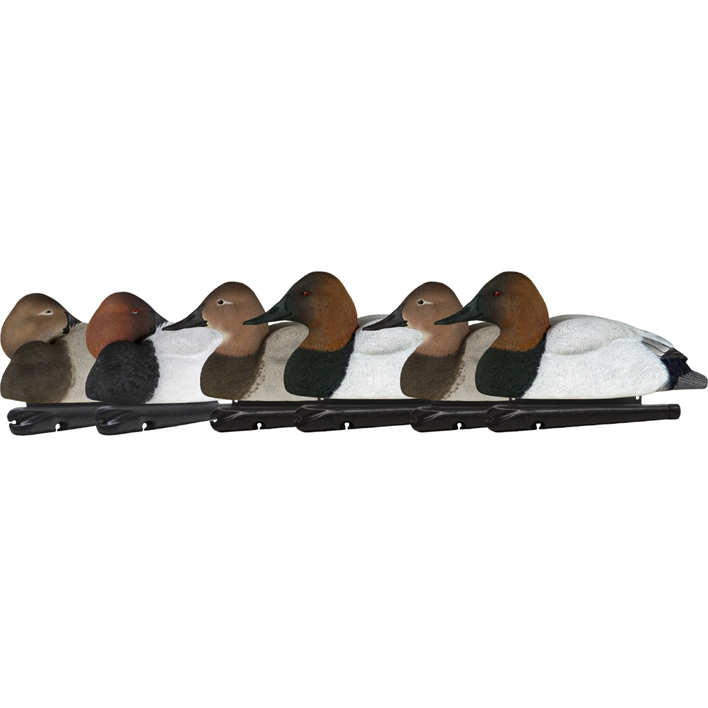 Avianx Top Flight Duck Decoys Canvasback 6 Pk. - Hunting Decoys at ...