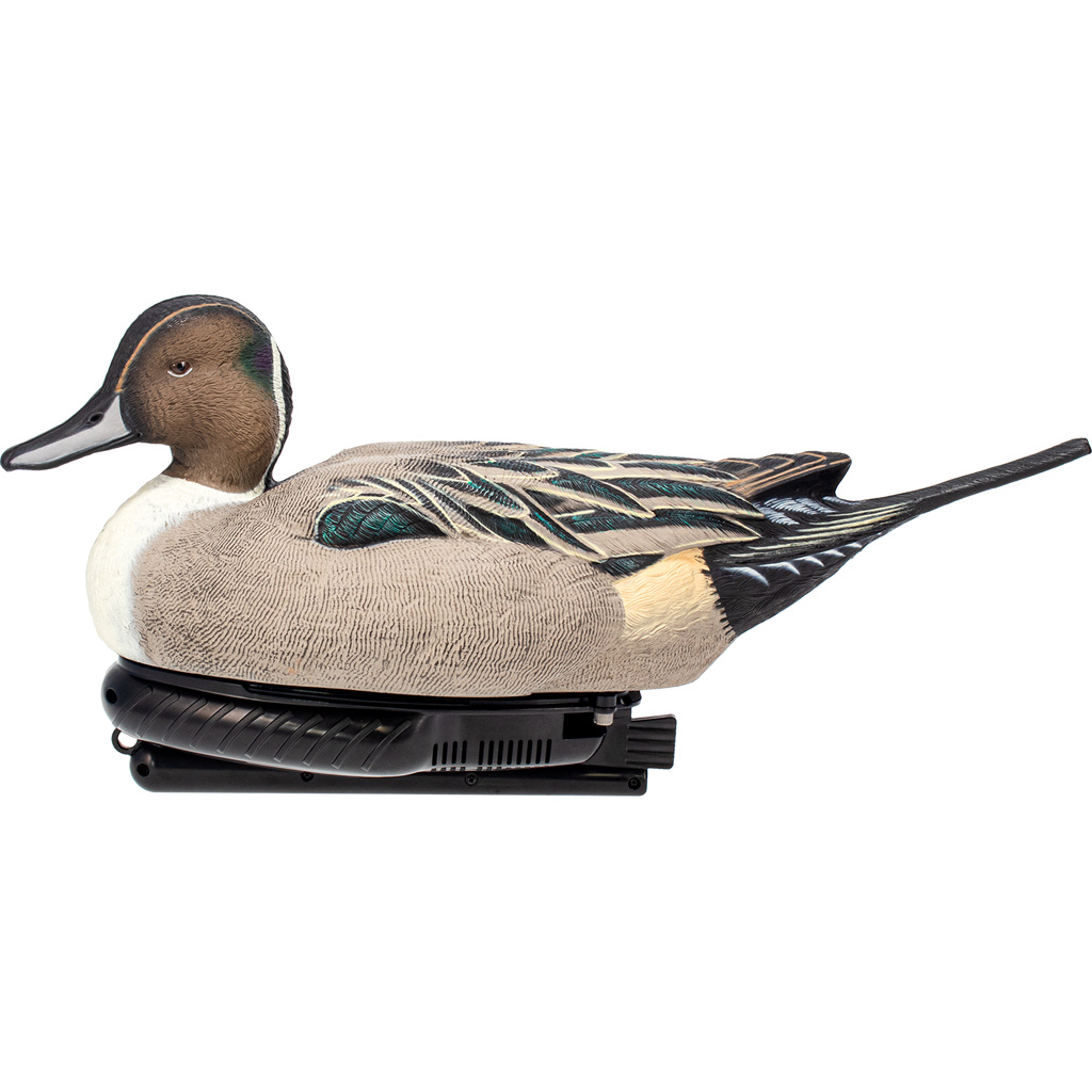 Avianx Power Swimmer Duck Decoy Pintail Drake - Hunting Decoys at ...