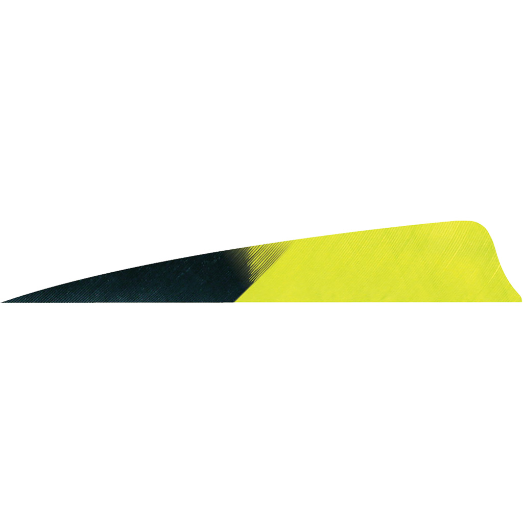 Gateway Shield Cut Feathers Kuro Lemon Lime 4 In. Lw 50 Pk. - Archery ...