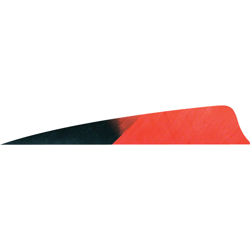 Gateway Shield Cut Feathers Kuru Red 4 In. Rw 50 Pk. - Archery Supplies ...