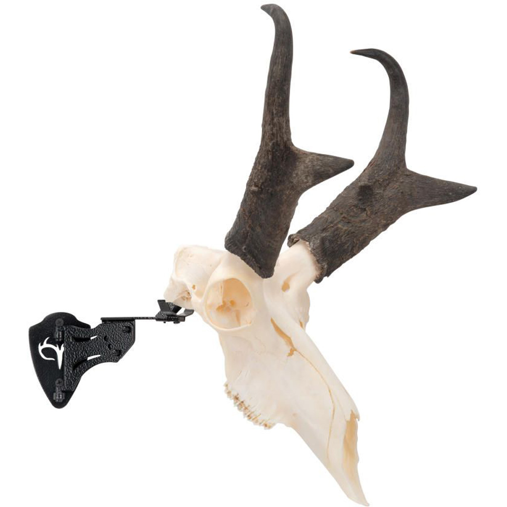 Allen Ez Mount Skull Stand Deer Size - Taxidermy Supplies at GunBroker ...