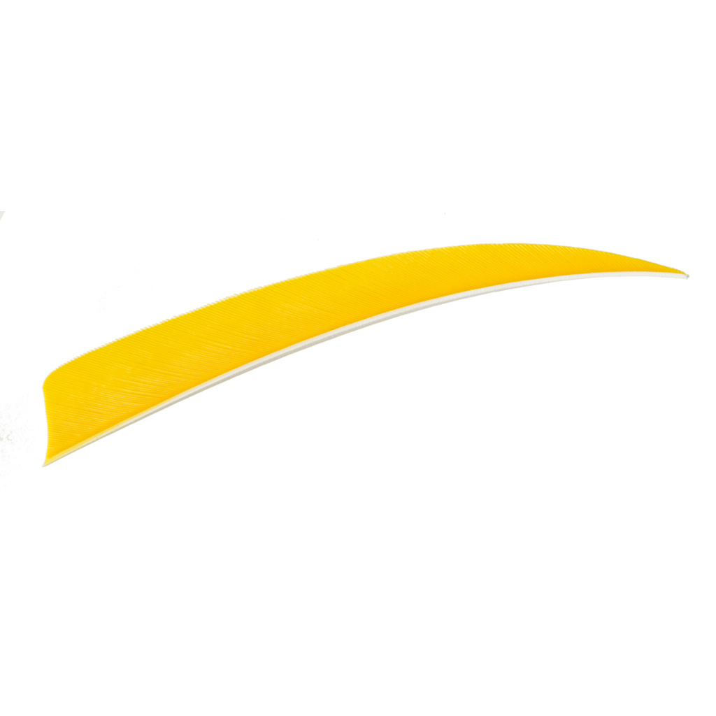 Trueflight Shield Cut Feathers Yellow 4 In. Lw 100 Pk. - Archery ...