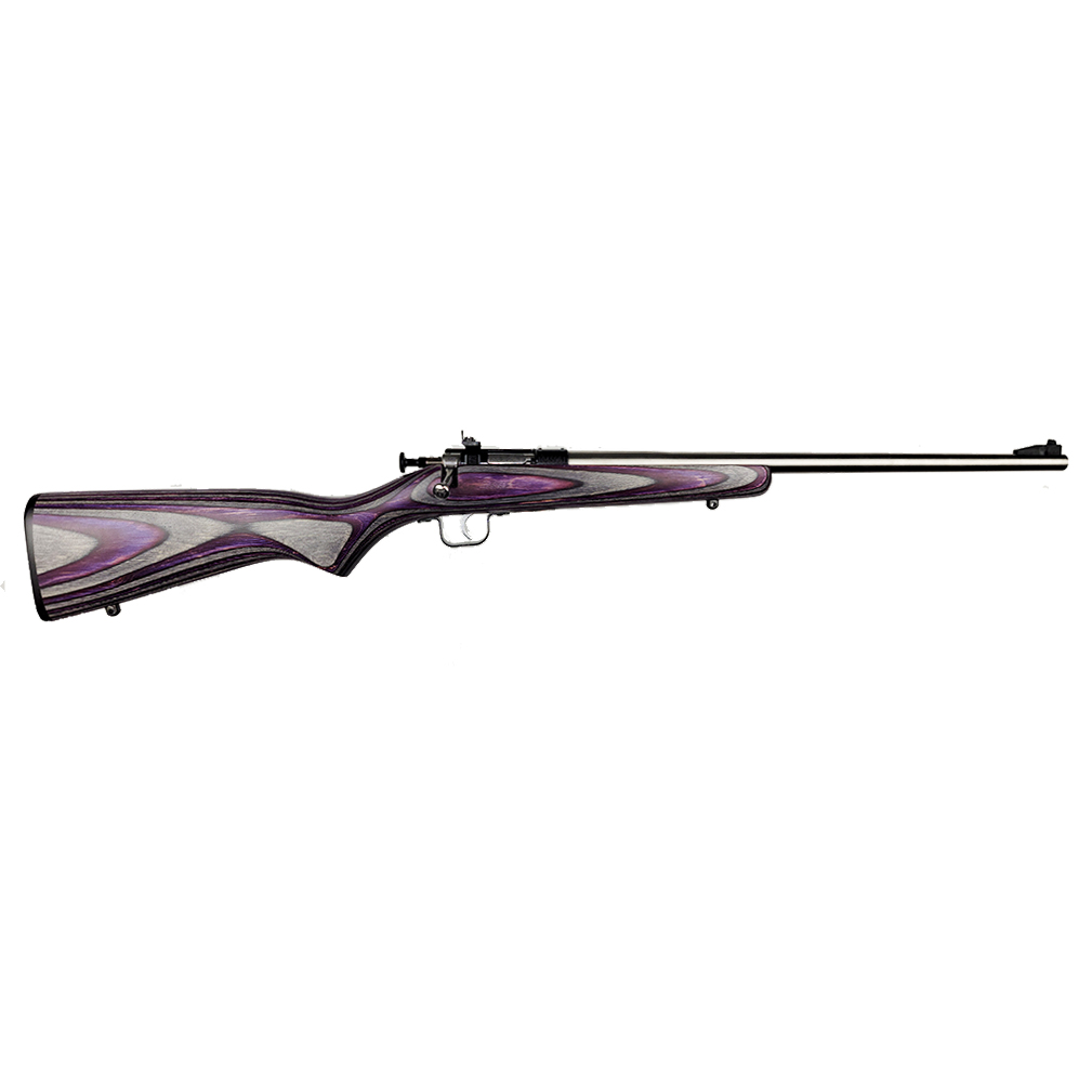 Keystone Sporting Arms Crickett 22lr Ss-purple Lam - Semi Auto Rifles ...